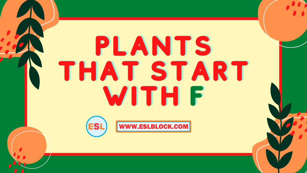 Plants That Start With F - English as a Second Language