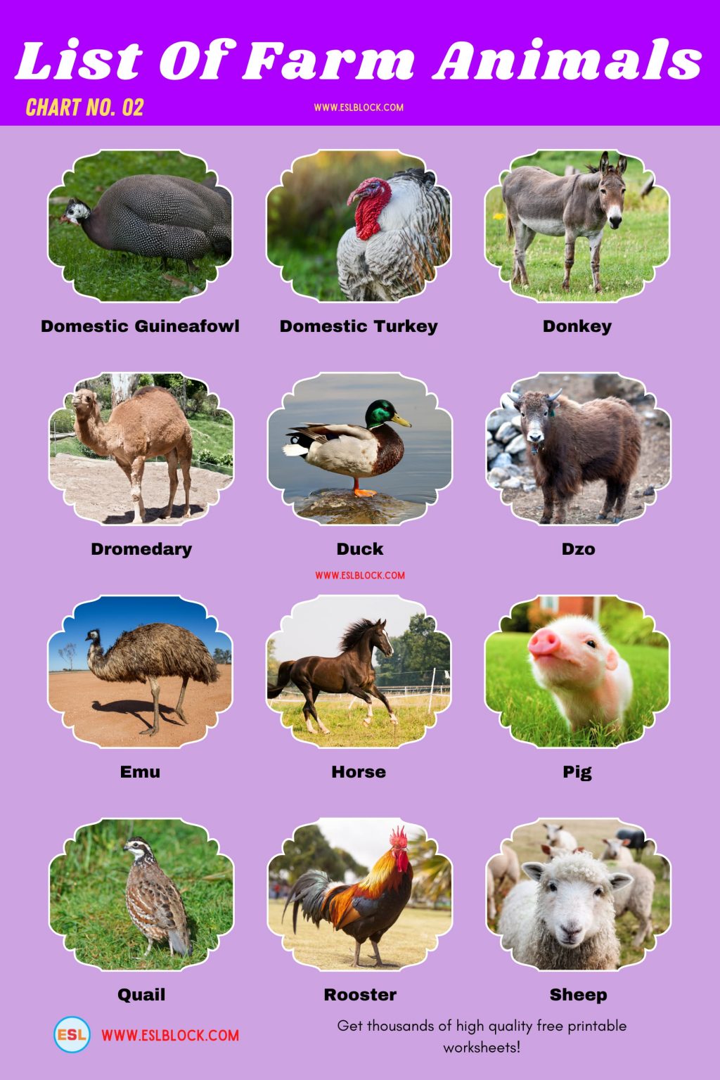 List Of Farm Animals: Different Types of Farm Animals - English as a ...