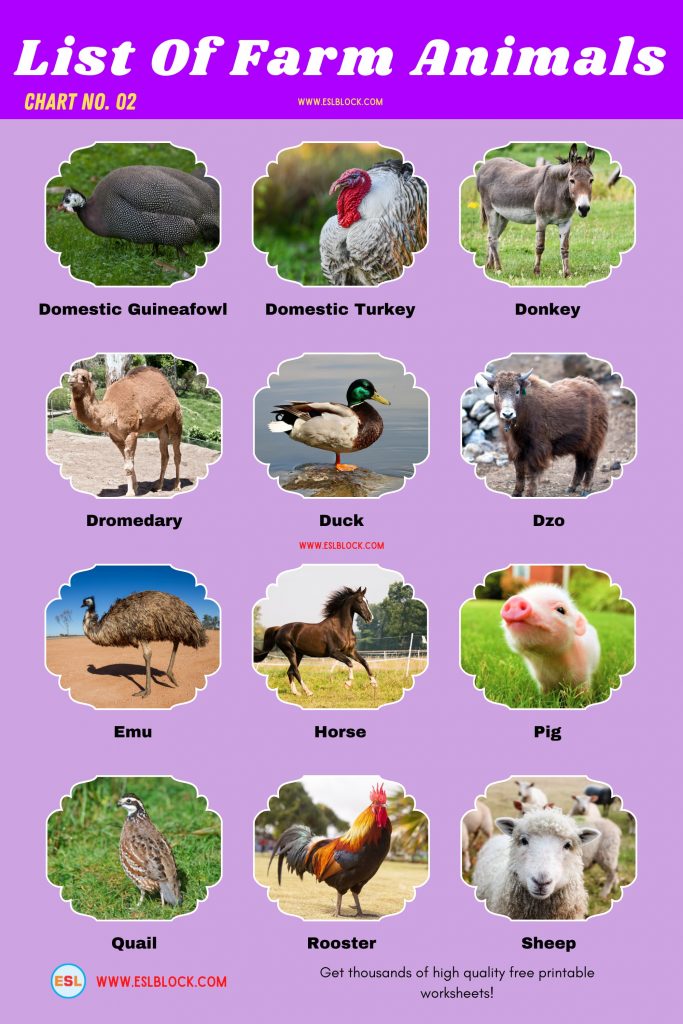 List Of Farm Animals: Different Types of Farm Animals - English as a ...
