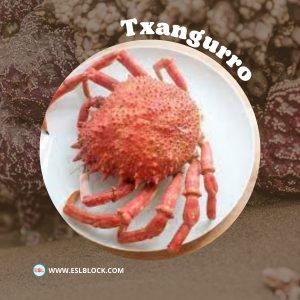 Shellfish | List of Shellfish with Interesting Facts - English as a ...