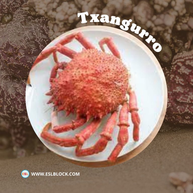 Shellfish | List of Shellfish with Interesting Facts - English as a ...