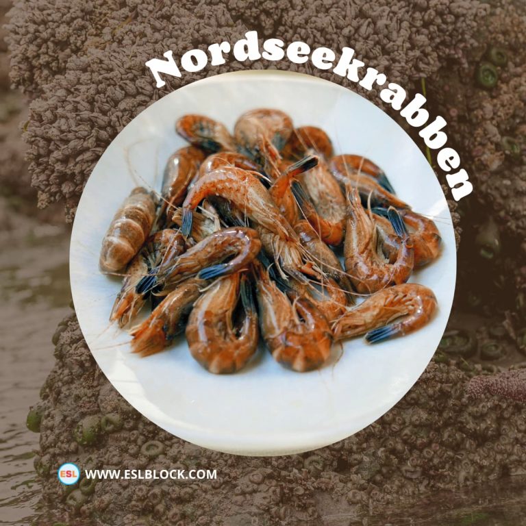 Shellfish | List of Shellfish with Interesting Facts - English as a ...