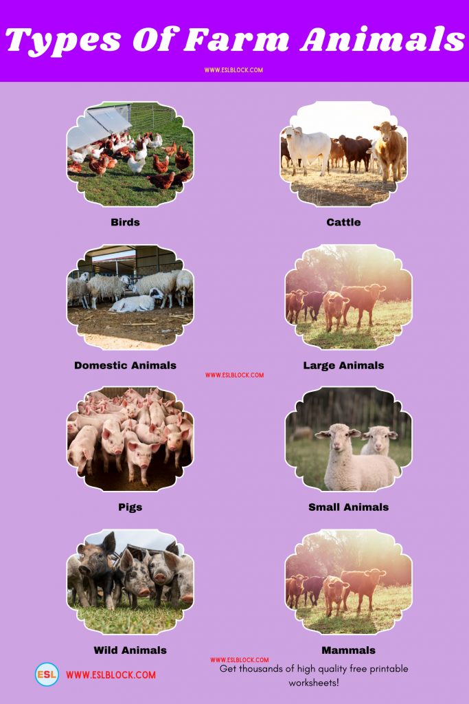 List Of Farm Animals: Different Types of Farm Animals - English as a ...