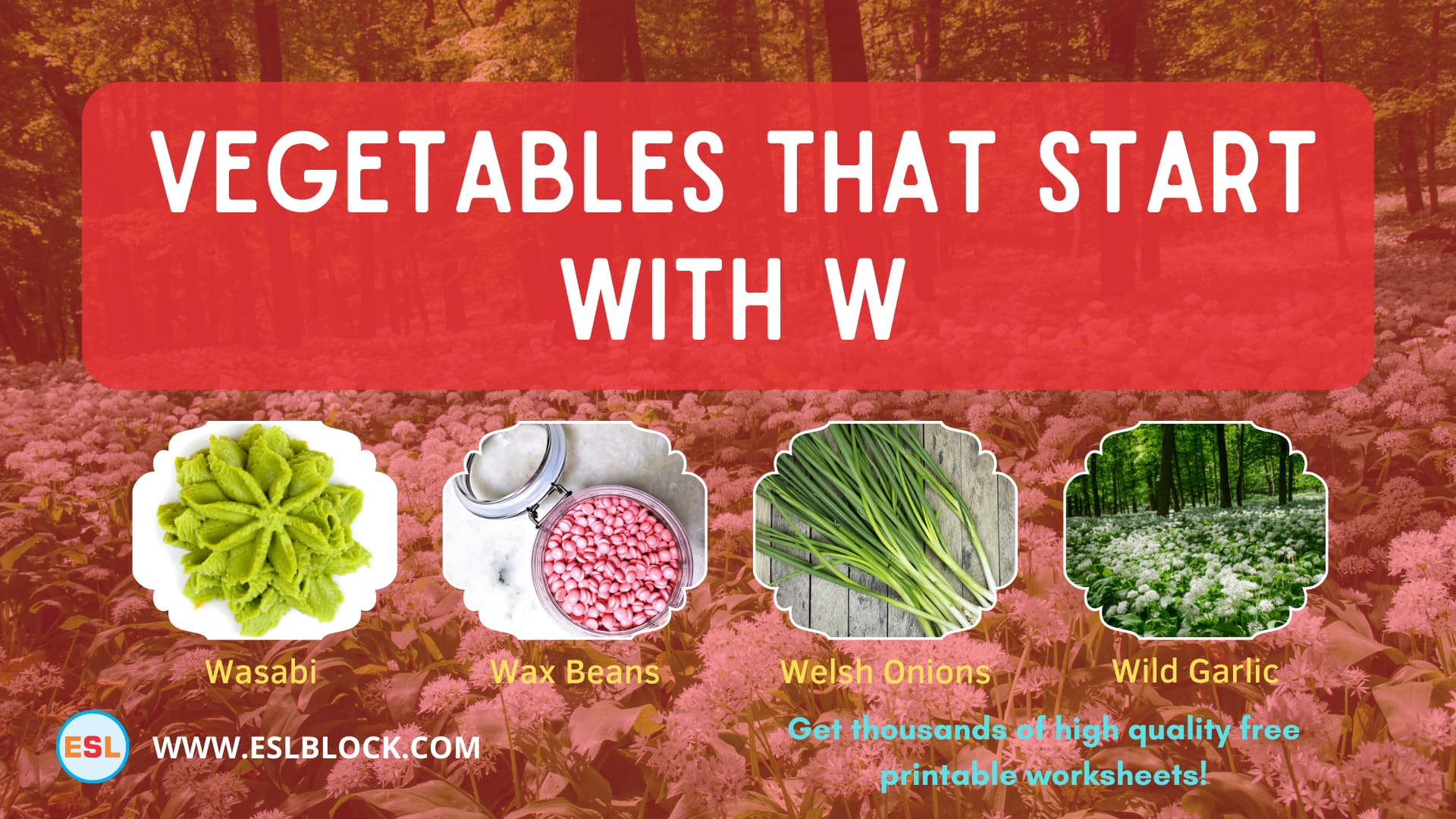 Vegetables That Start With W English As A Second Language Vegetables That Start With W English As A Second Language