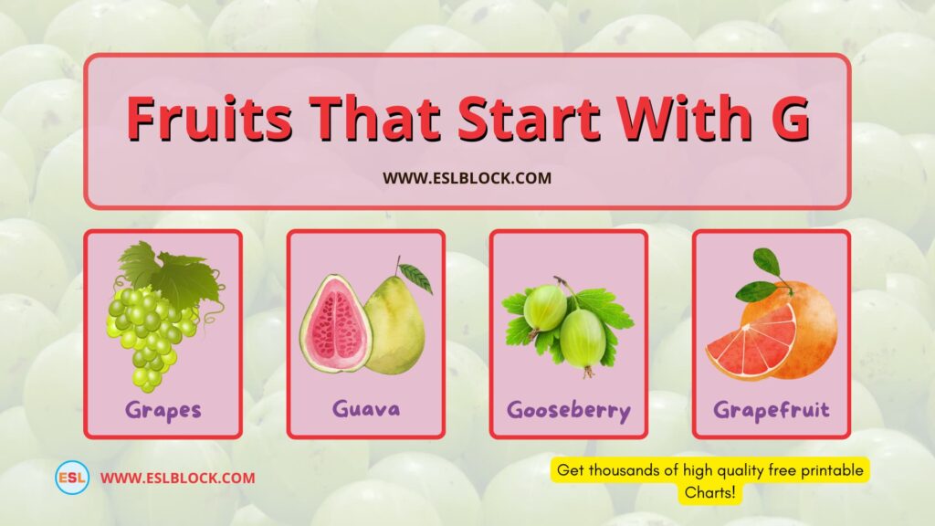Fruits that start with G - English as a Second Language